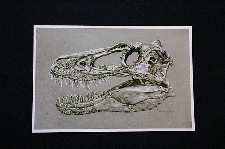 The Juvenile T-rex "jane" Small Print - Etsy