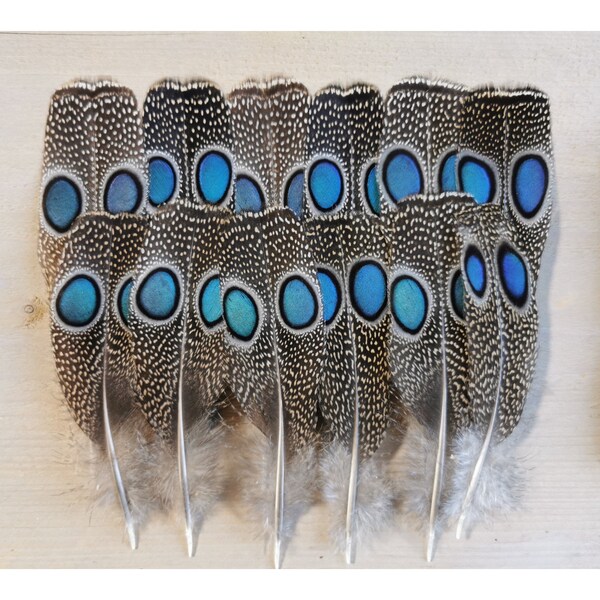 Iridescent Feathers - Etsy