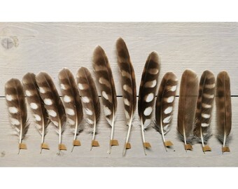 Zeldzame uilenveer - Etsy Nederland