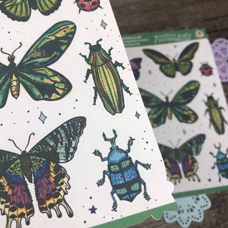 Beautiful Bugs Stickers Bugs Sticker Sheet - Etsy