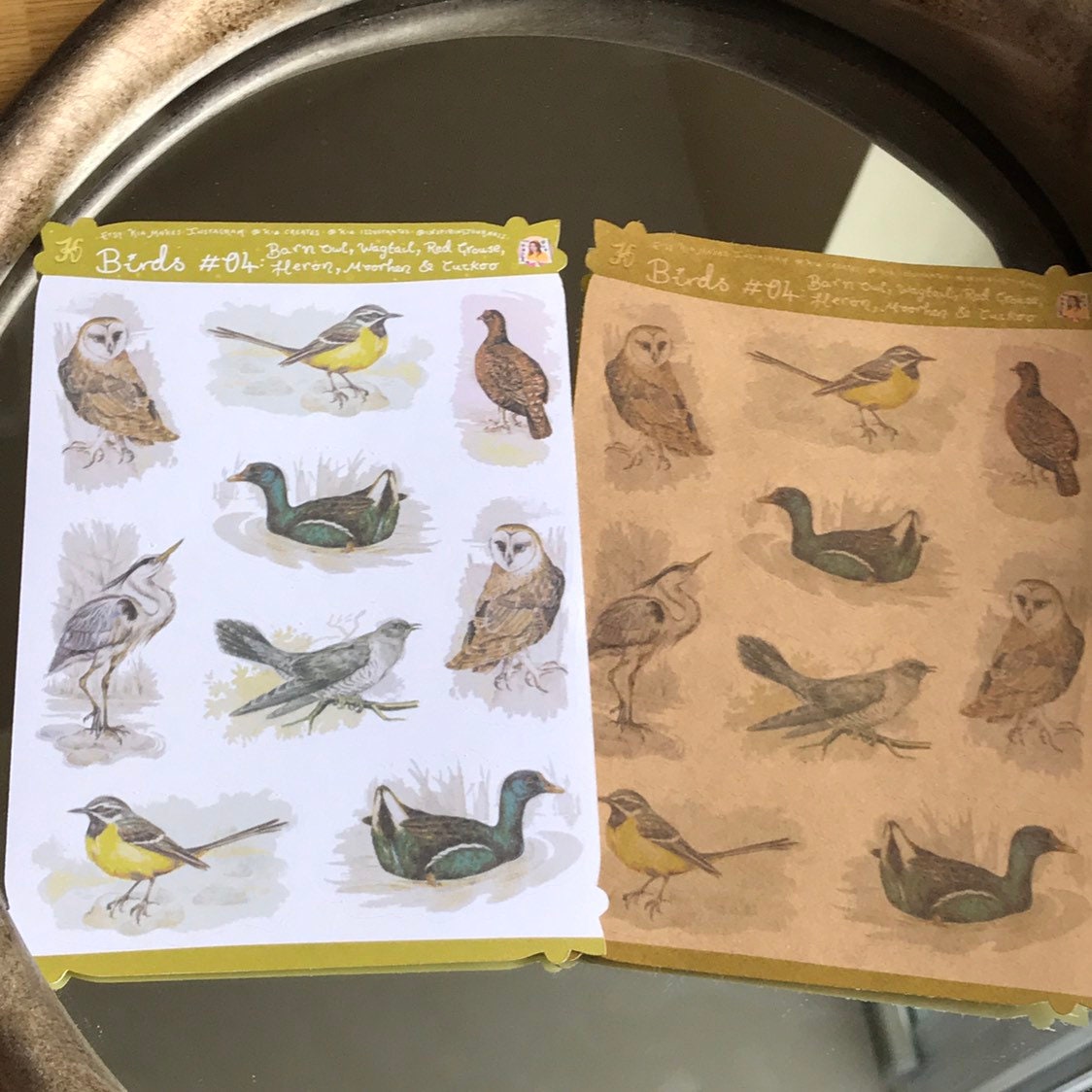 Vintage Bird Stickers Bird Sticker Sheet Wildlife Stickers | Etsy