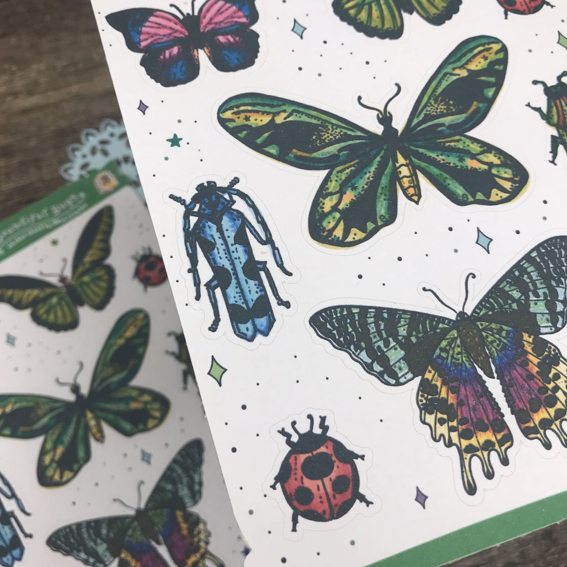 Beautiful Bugs Stickers Bugs Sticker Sheet - Etsy