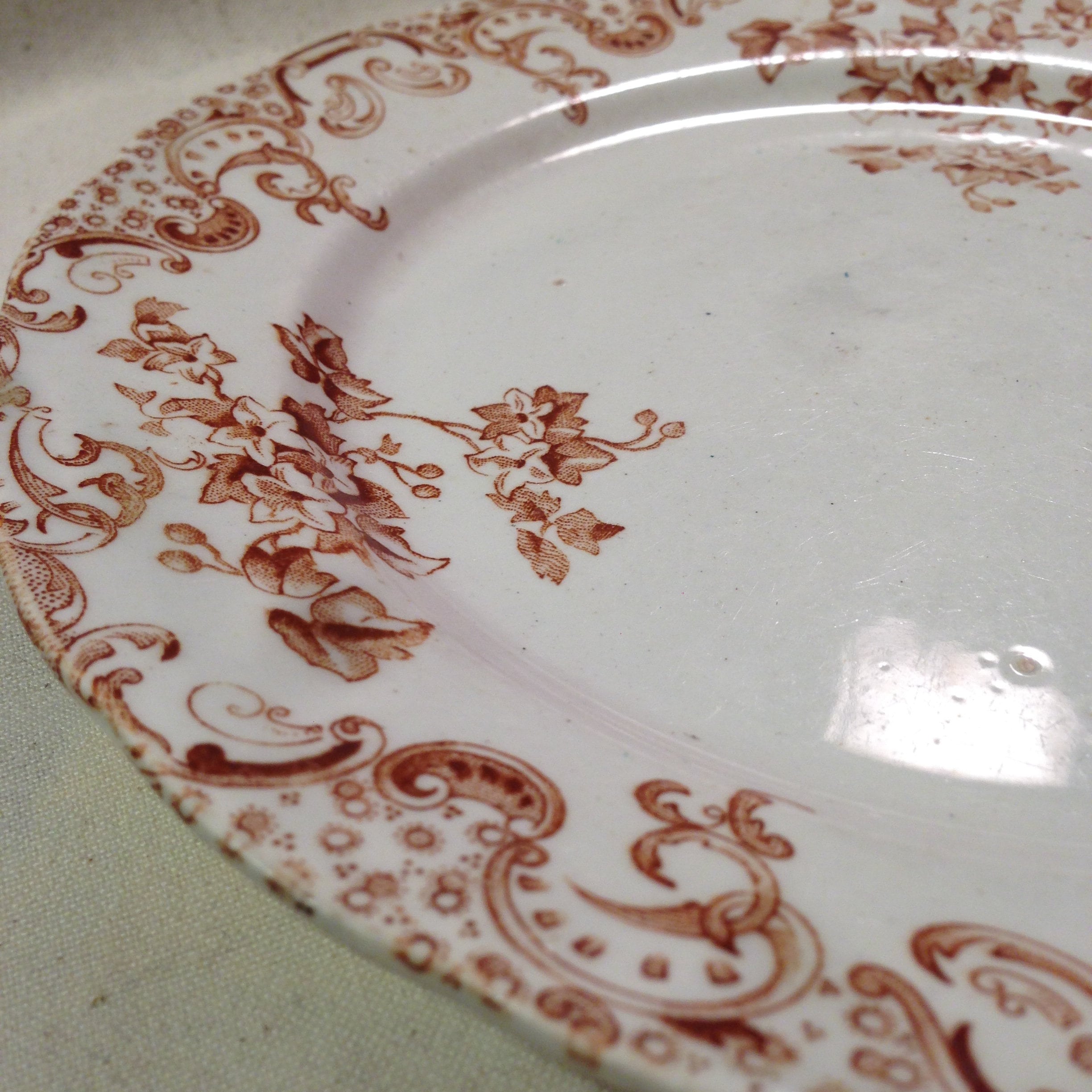 A Rare William Adams & Co. Antique Plateantique Plateantique - Etsy UK