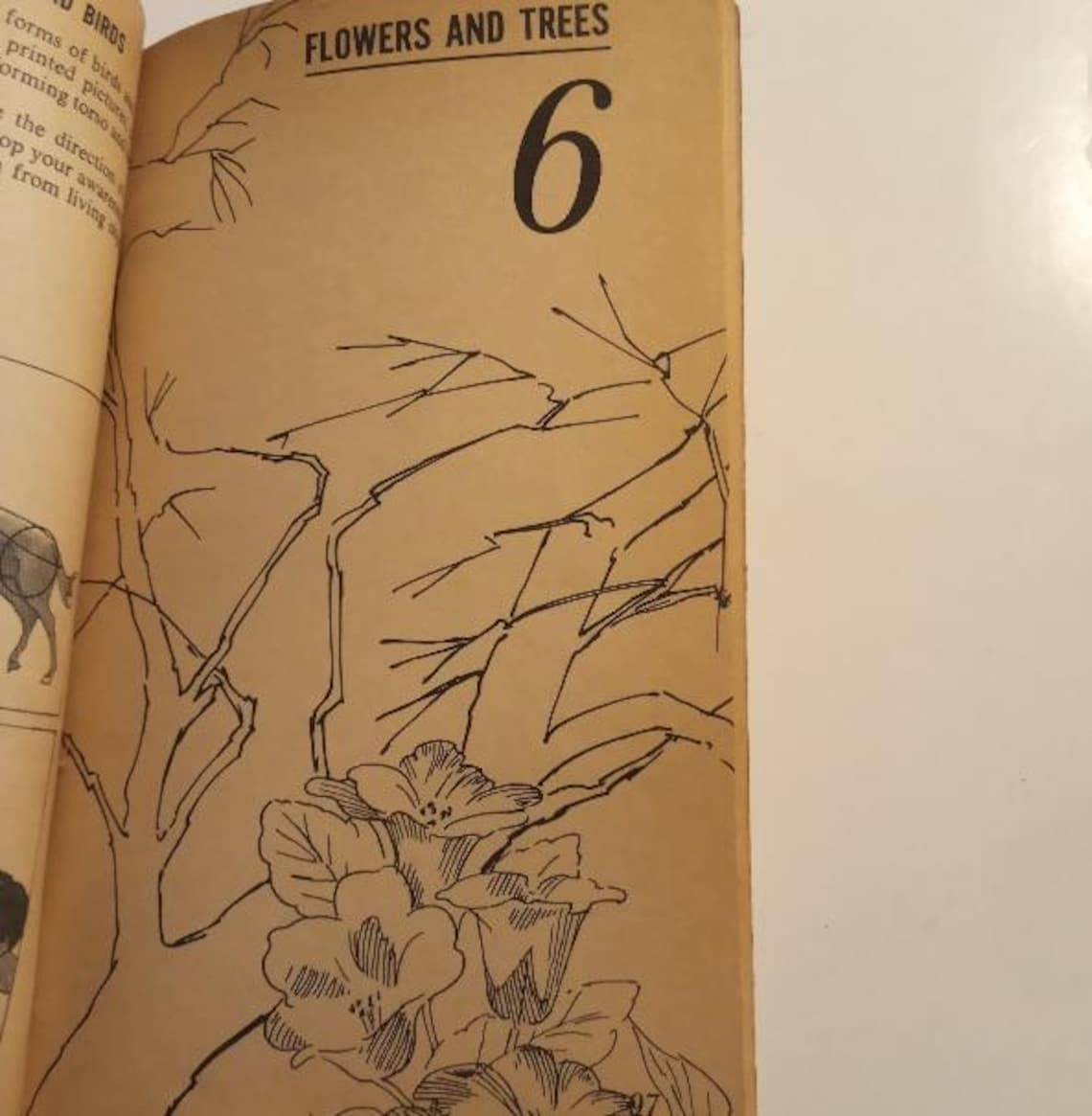 A Collectible Vintage 1960 Book: How to Draw [if You Can Write, You Cam ...