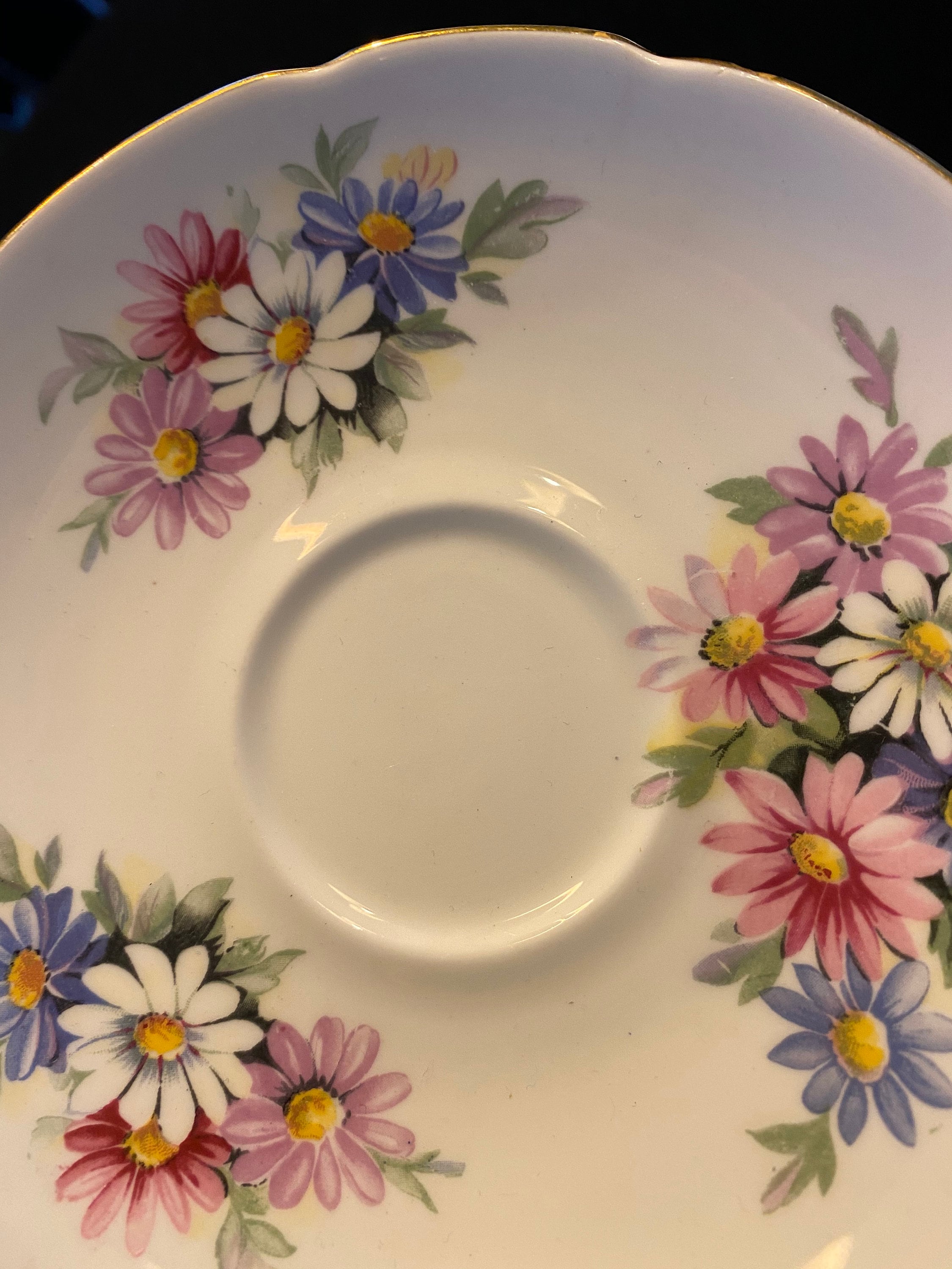 ROYAL STUART Bone China Teacup and Saucer Daisy Floral Numbered Spencer ...