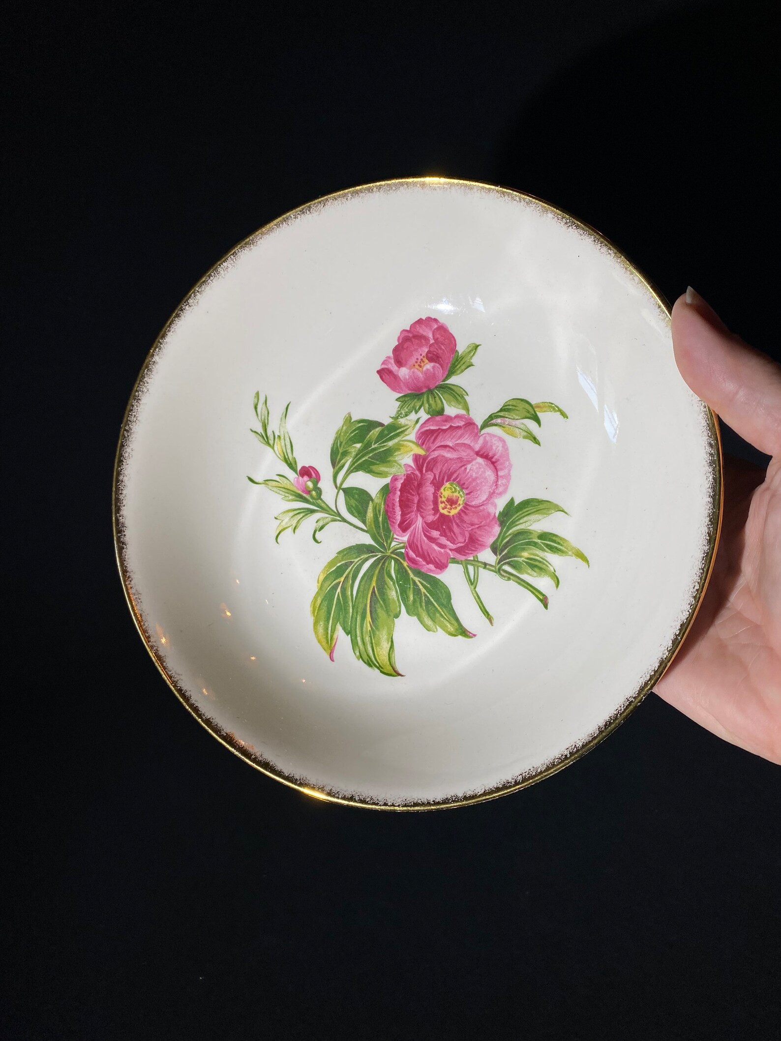 Set of 4 Studio Ware Peony by J&G Meakin Bread and Butter Plate 6 ...