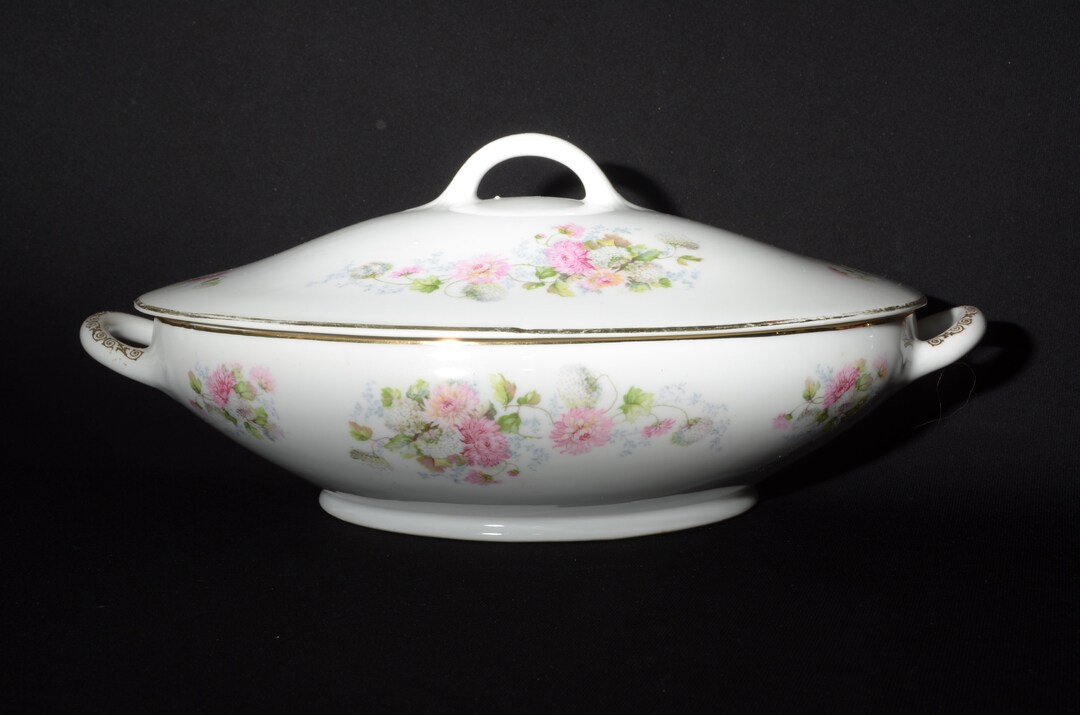 Antique Bavaria Zs&co Zeh Scherzer Hand Painted Covered Oval Serving ...