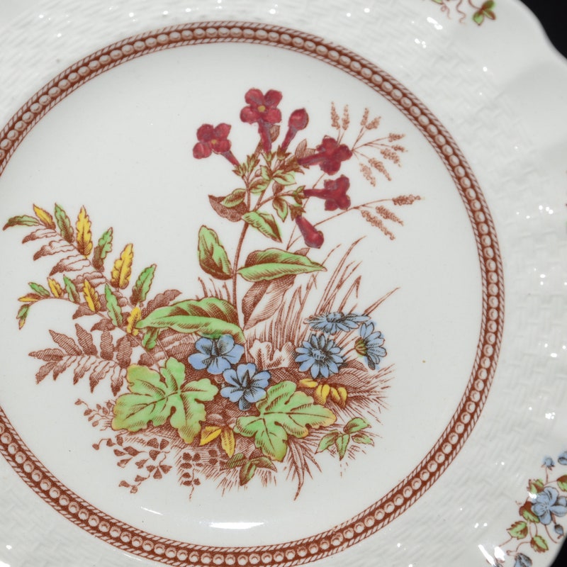 Spode Plate - Etsy