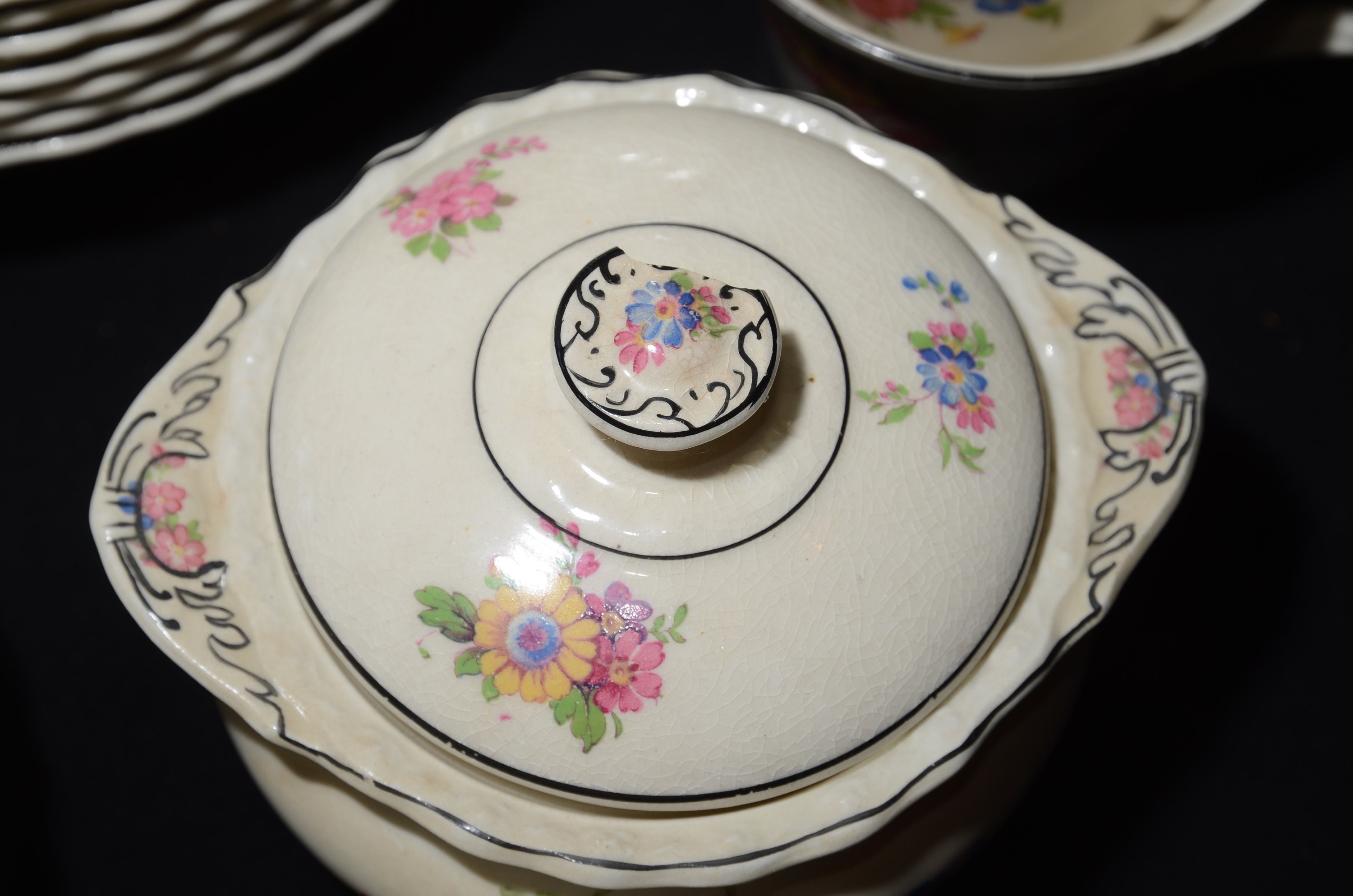 Set for 8 MYOTT Staffordshire Bone China Dinnerware Set 65 Pieces Plate ...