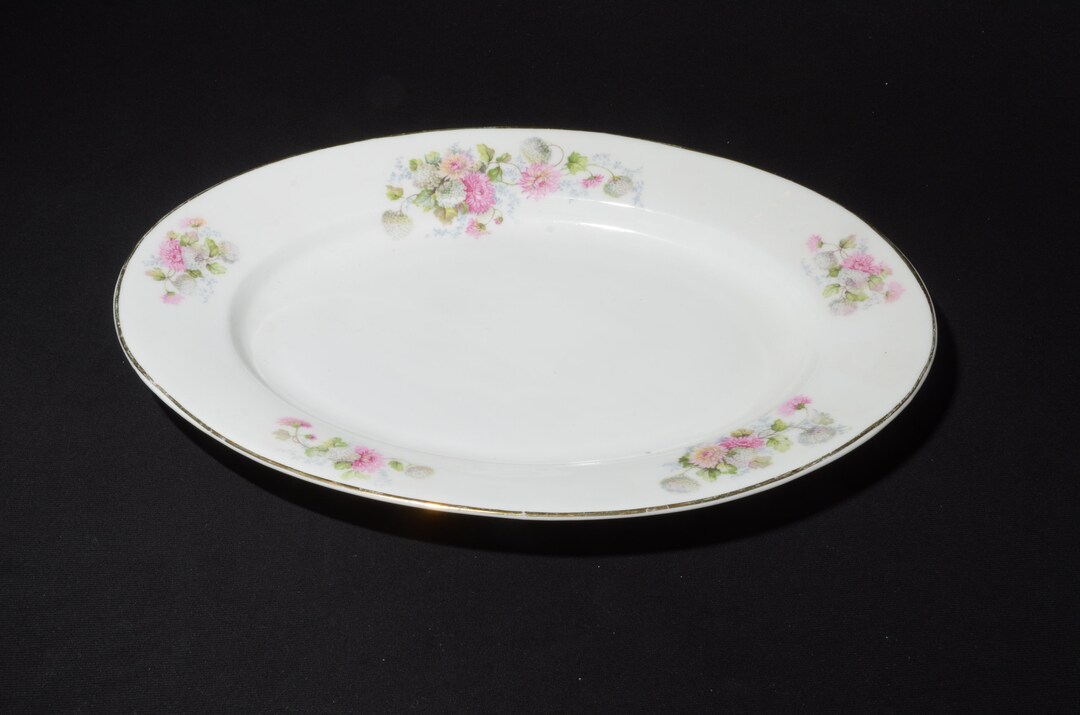 Antique Bavaria Zs&co Zeh Scherzer Hand Painted Platter Serving Plate ...