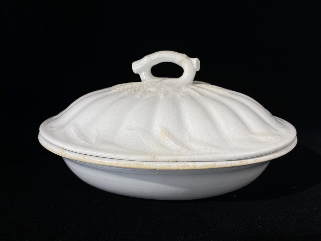 Antique Royal Ironstone China S.W. Dean Oval Serving Bowl With Lid ...