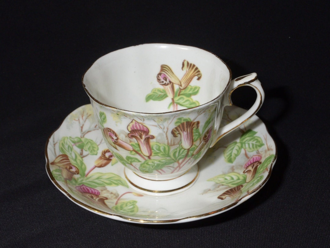 ROYAL ALBERT Jack-in-the-pulpit Footed Teacup and Saucer Bone China ...