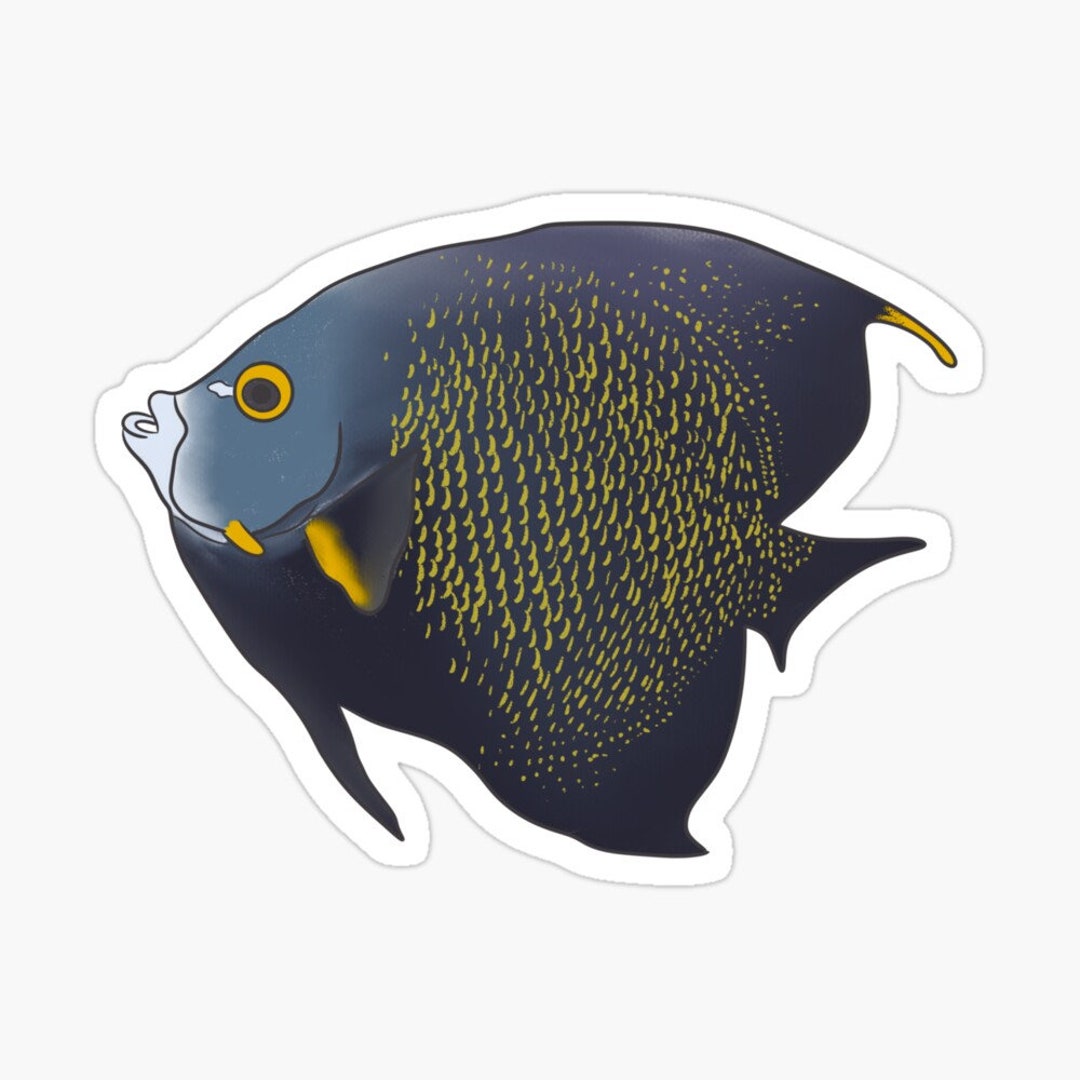 Angelfish Fish Waterproof Vinyl Sticker, Realistic Art, Marine Animal ...