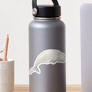 Beluga Whale Sticker, Vinyl Waterproof, Water Bottle Decor, Laptop ...