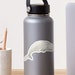 Beluga Whale Sticker, Vinyl Waterproof, Water Bottle Decor, Laptop ...