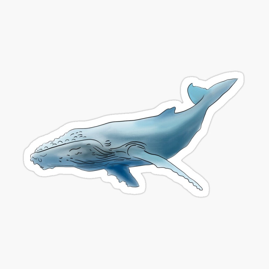 Humpback Whale Sticker, Vinyl Waterproof, Water Bottle Decor, Laptop ...