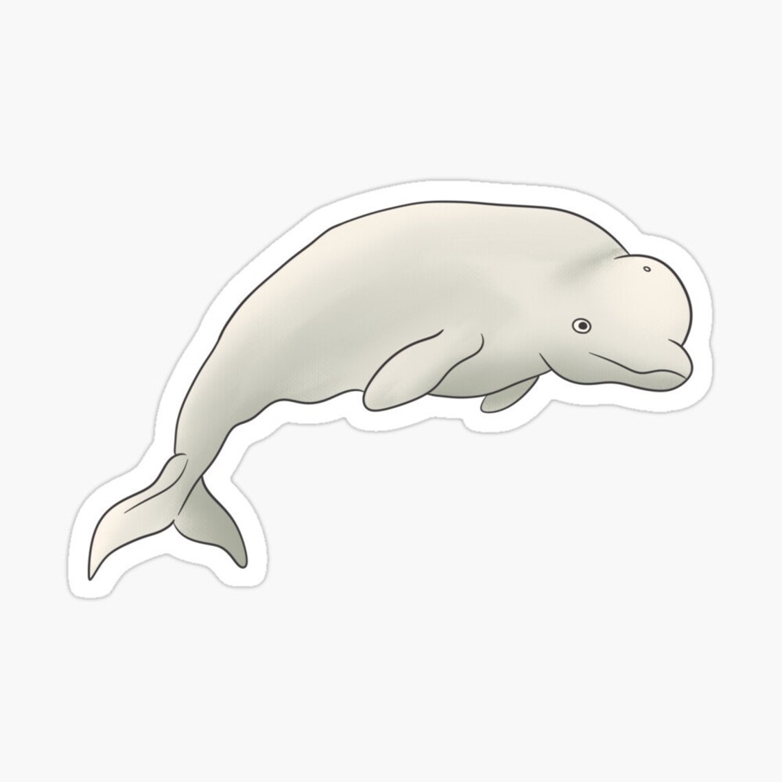 Beluga Whale Sticker, Vinyl Waterproof, Water Bottle Decor, Laptop ...