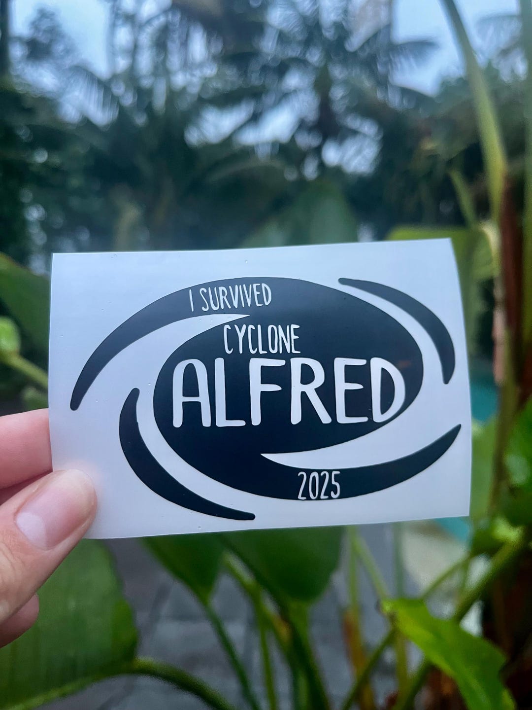 I Survived Cyclone Alfred Decal Sticker, Gift for Storm Lovers, Vinyl ...