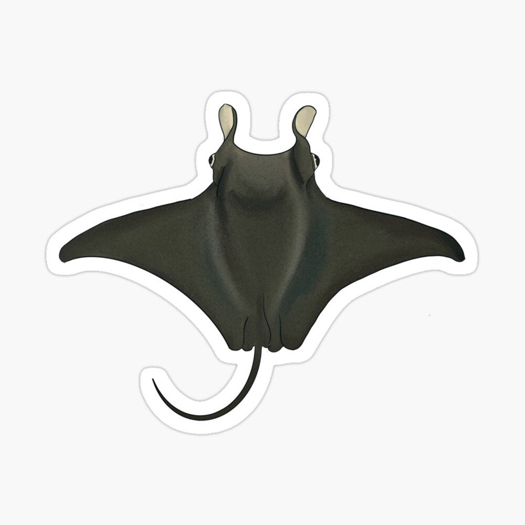 Manta Ray Waterproof Vinyl Sticker, Kawaii Art, Marine Animal Lover ...