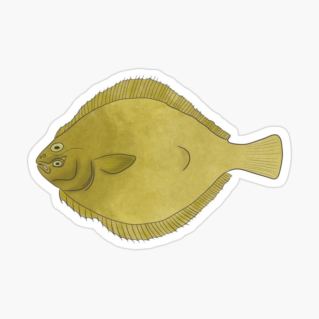 Flounder Fish Waterproof Vinyl Sticker, Kawaii Art, Marine Animal Lover ...