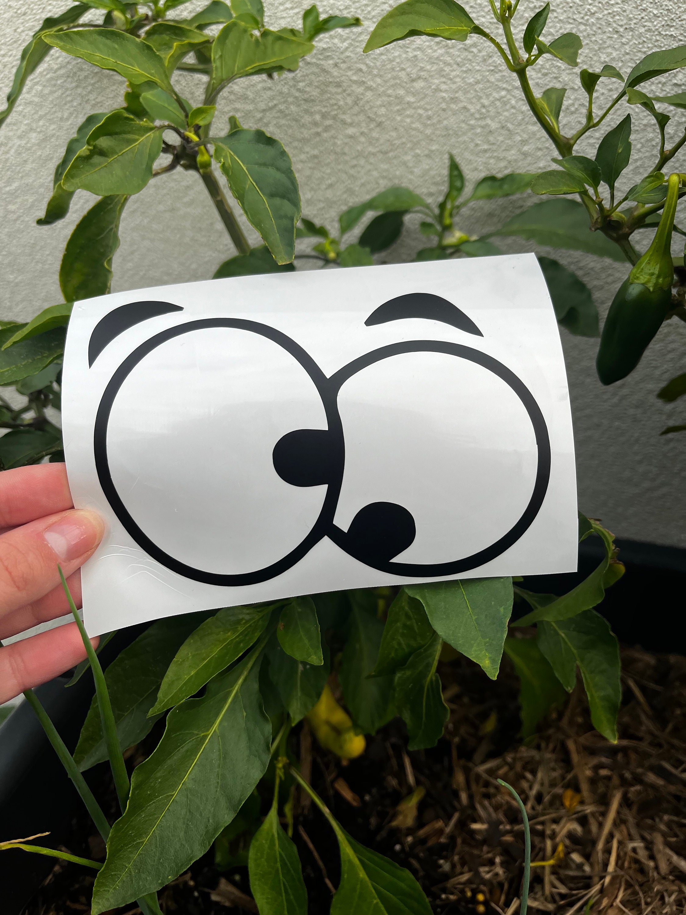 Crazy Eyes Robot Vacuum Sticker Decal, Eye Stickers, Vinyl Decal for ...