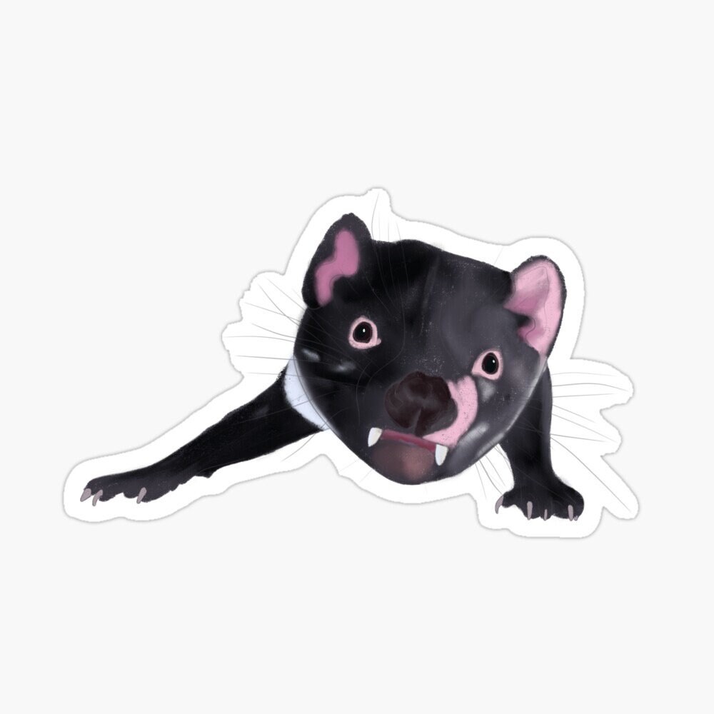Tasmanian Devil Sticker, Tassie Devil Vinyl Sticker, Cute Gift for ...