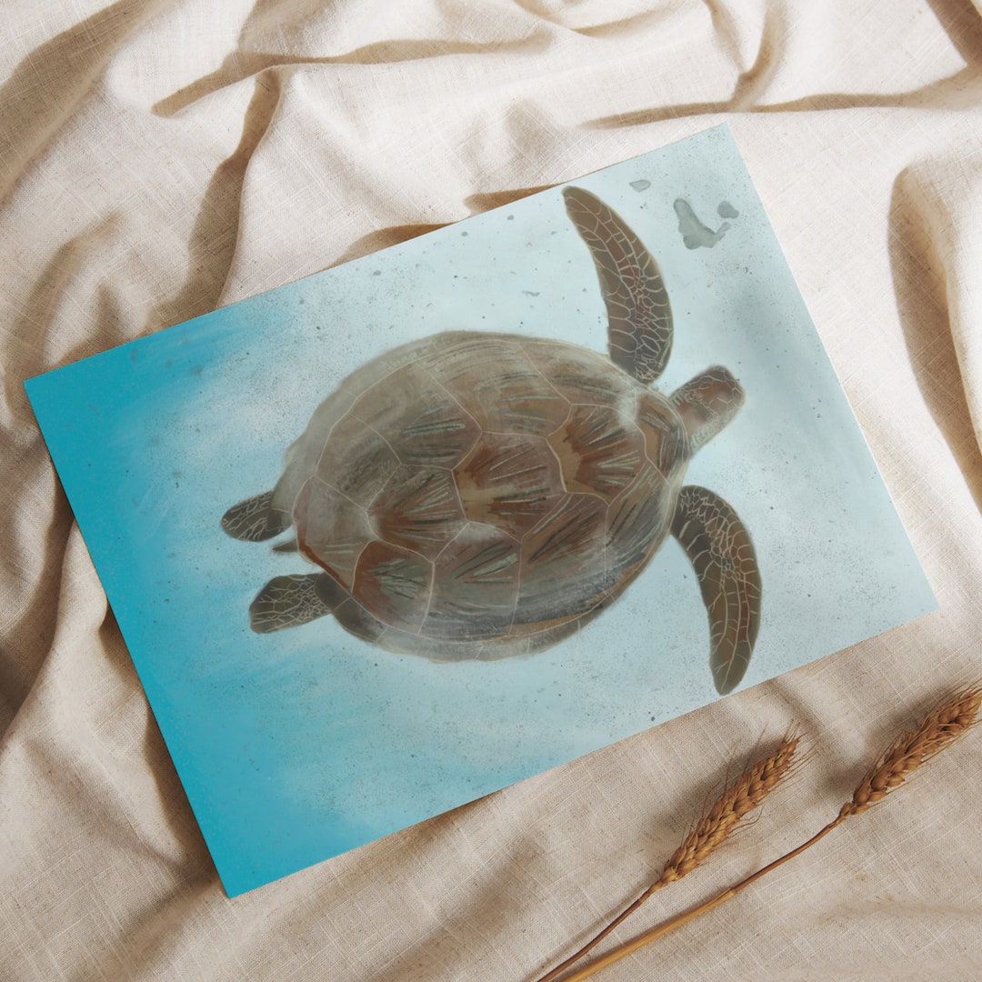 Loggerhead Turtle Gift Card, Recycled Greeting Card, Birthday Gift Card ...