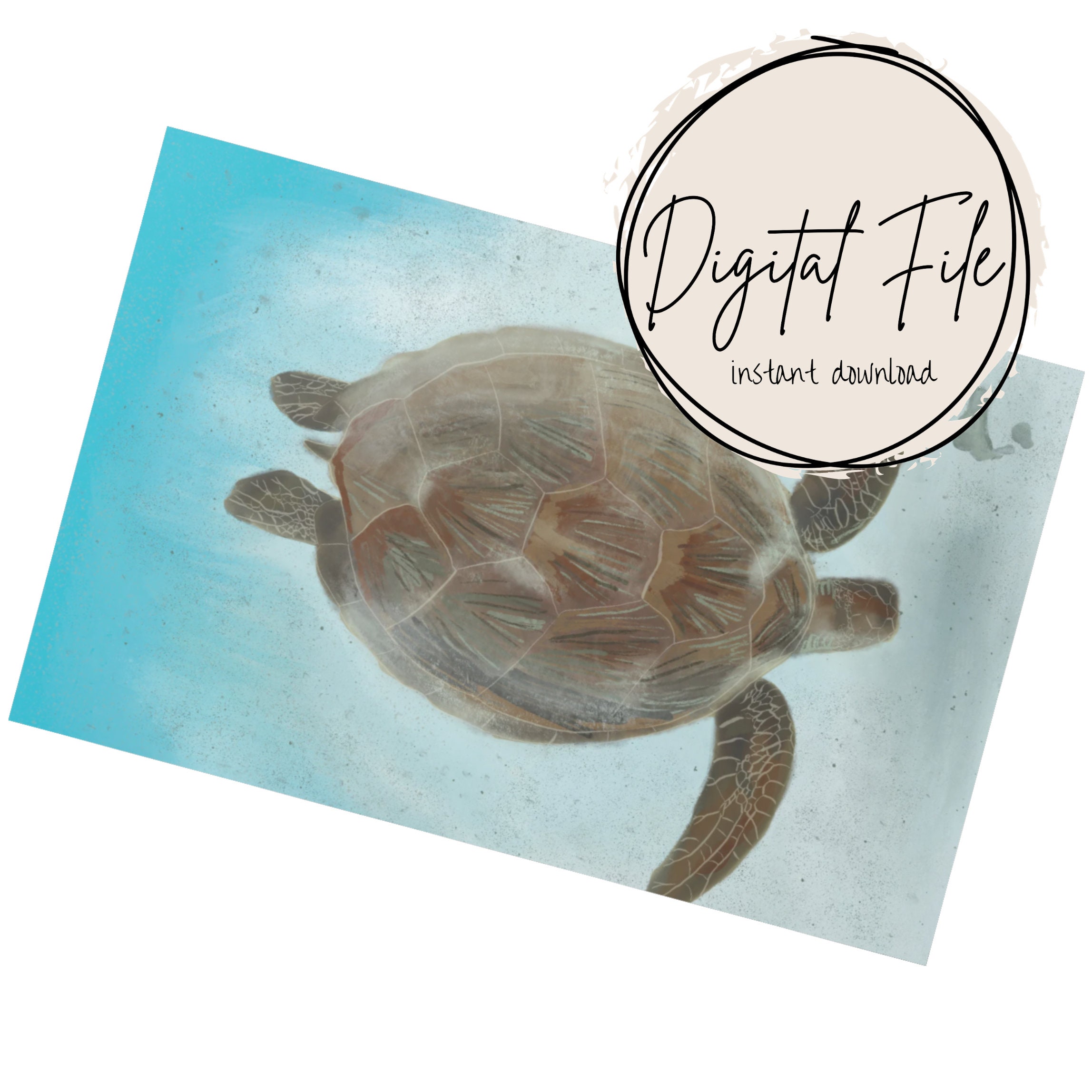 PRINTABLE Loggerhead Turtle Greeting Gift Card for Her, for Him, for ...
