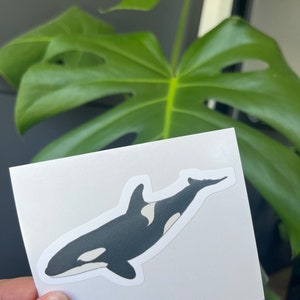 Orca Killer Whale Waterproof Vinyl Sticker, Kawaii Art, Marine Animal ...
