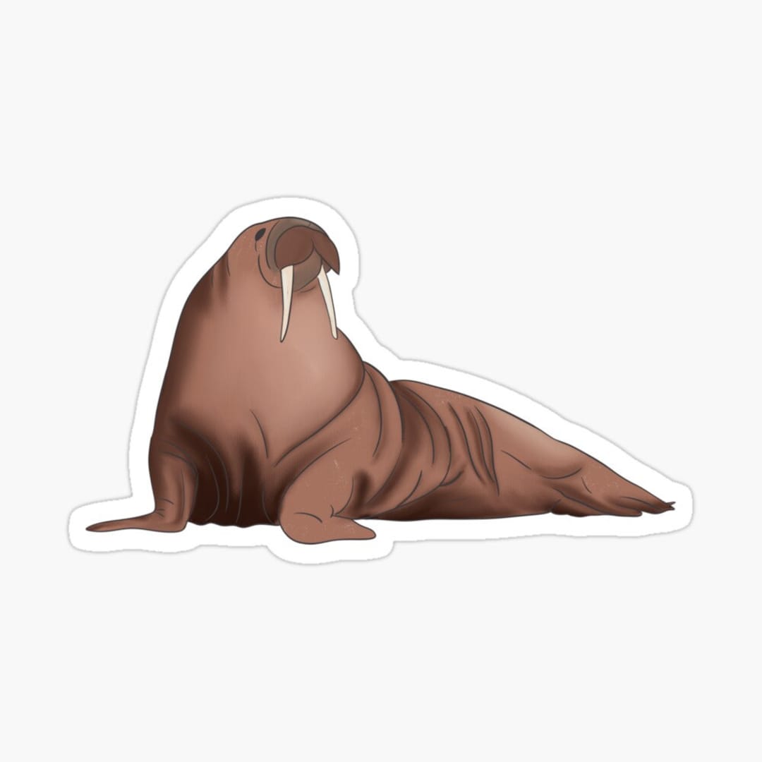Walrus Waterproof Vinyl Sticker, Realistic Art, Marine Animal Lover ...
