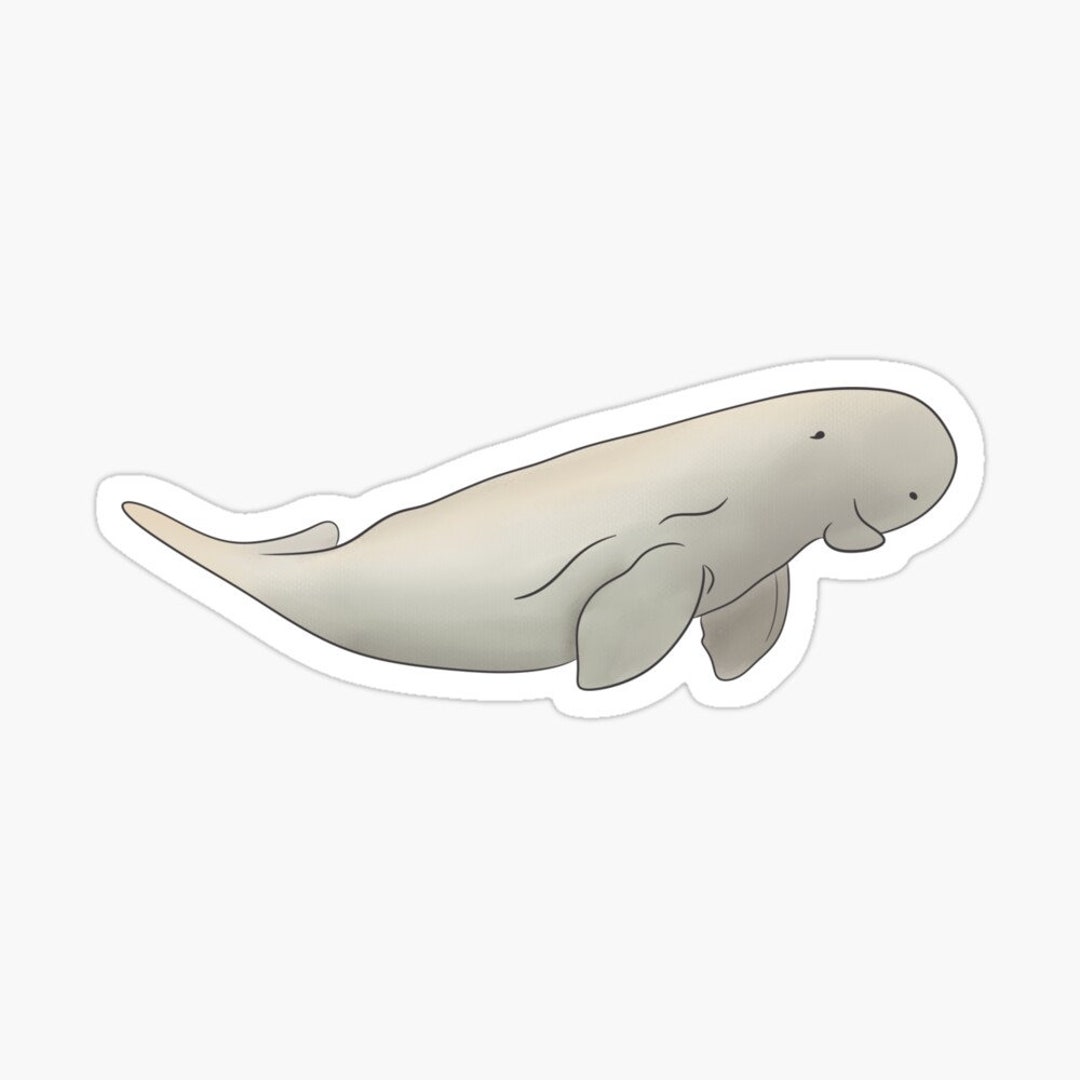 Dugong Sticker, Vinyl Waterproof, Water Bottle Decor, Laptop Vinyl, Car ...