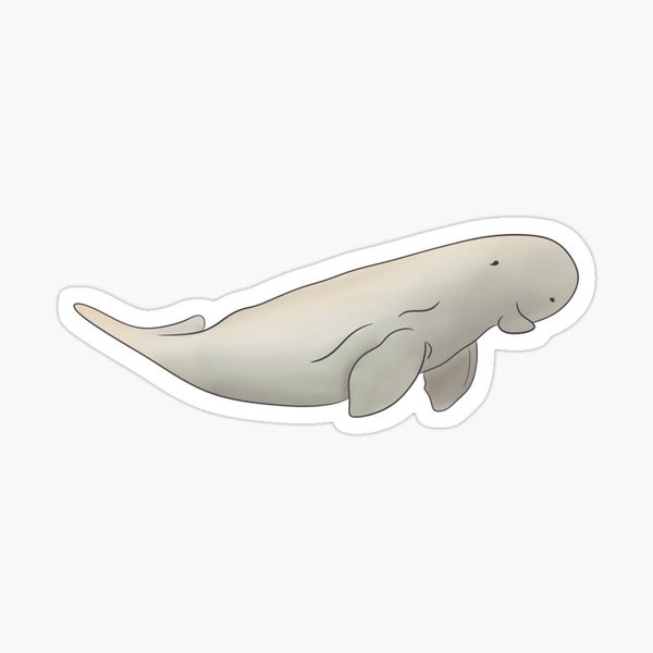 Dugong - Etsy