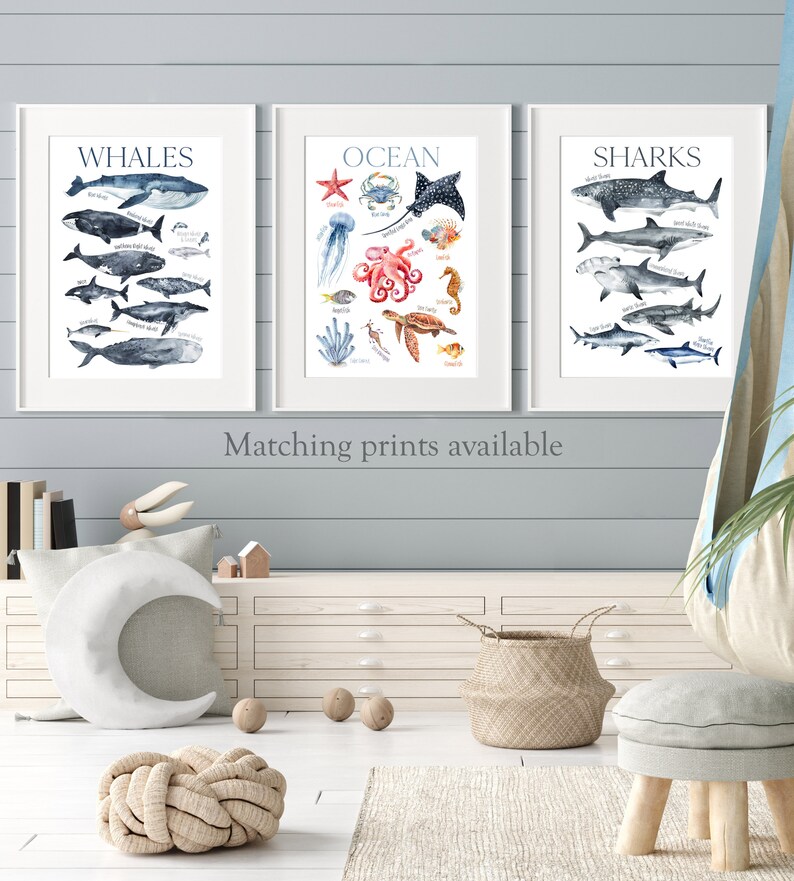Sharks Art Print Shark Types Poster Navy Grey Sea Ocean - Etsy