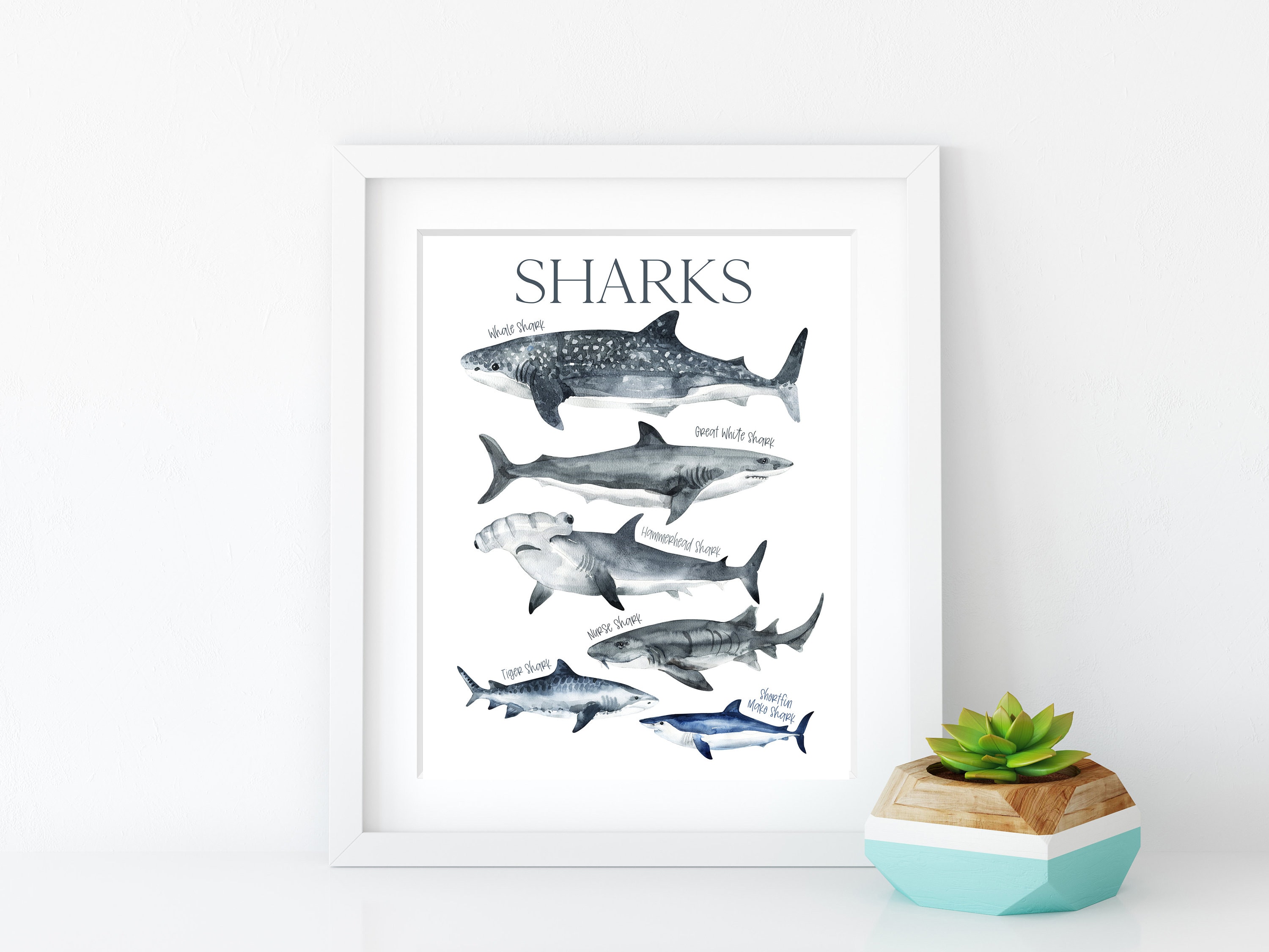 Sharks Art Print Shark Types Poster Navy Grey Sea Ocean Nursery Wall ...