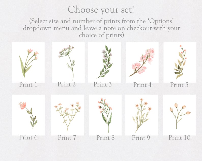 Wildflower Print Set Feminine Nursery Art Soft Pink Peach | Etsy