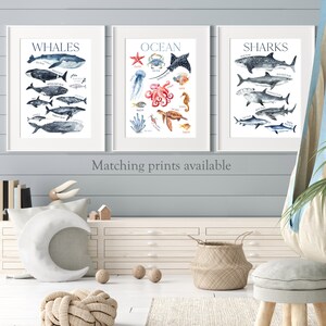 Ocean Art Print Sea Animal Poster Colourful Watercolour Nursery Wall ...