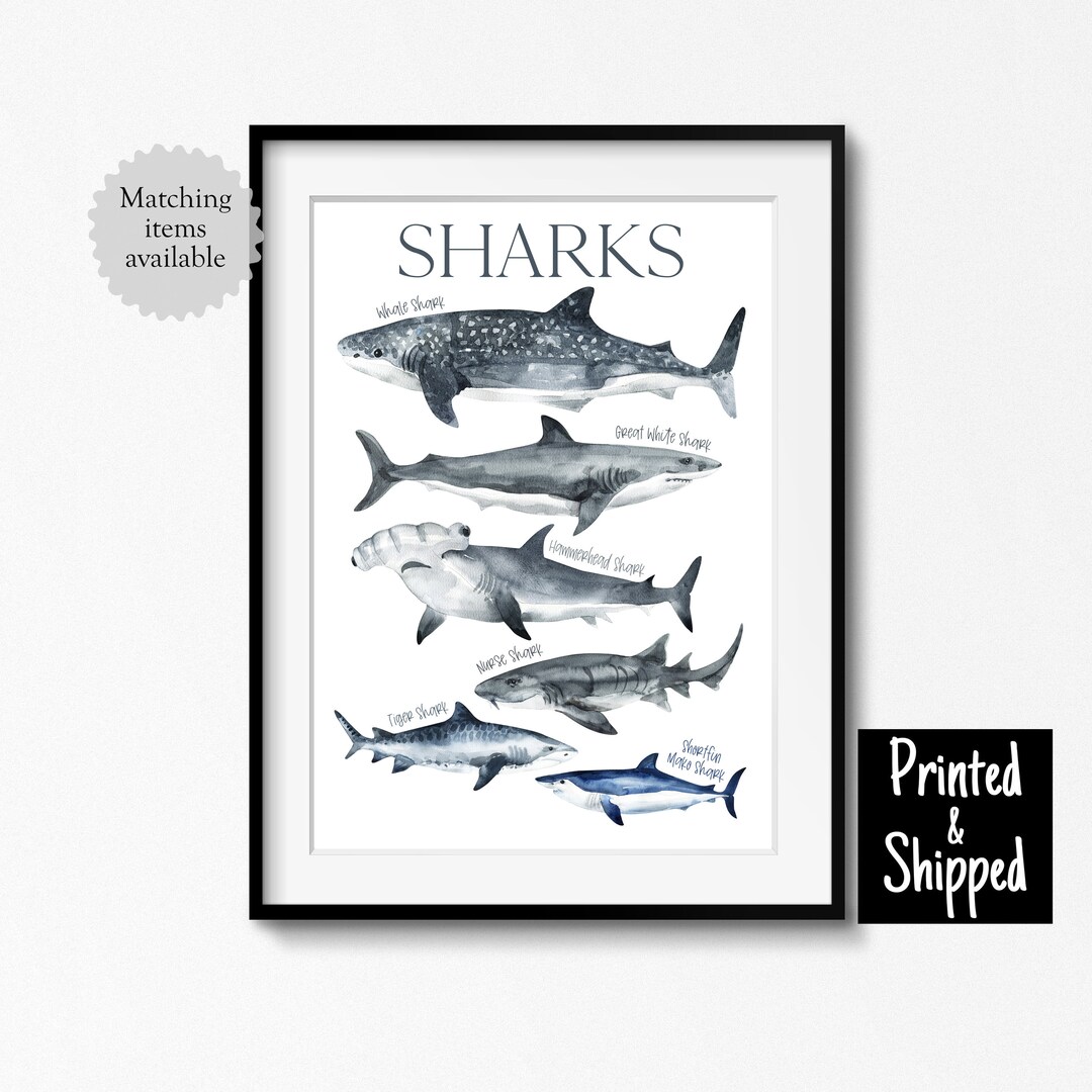 Sharks Art Print Shark Types Poster Navy Grey Sea Ocean Nursery Wall ...