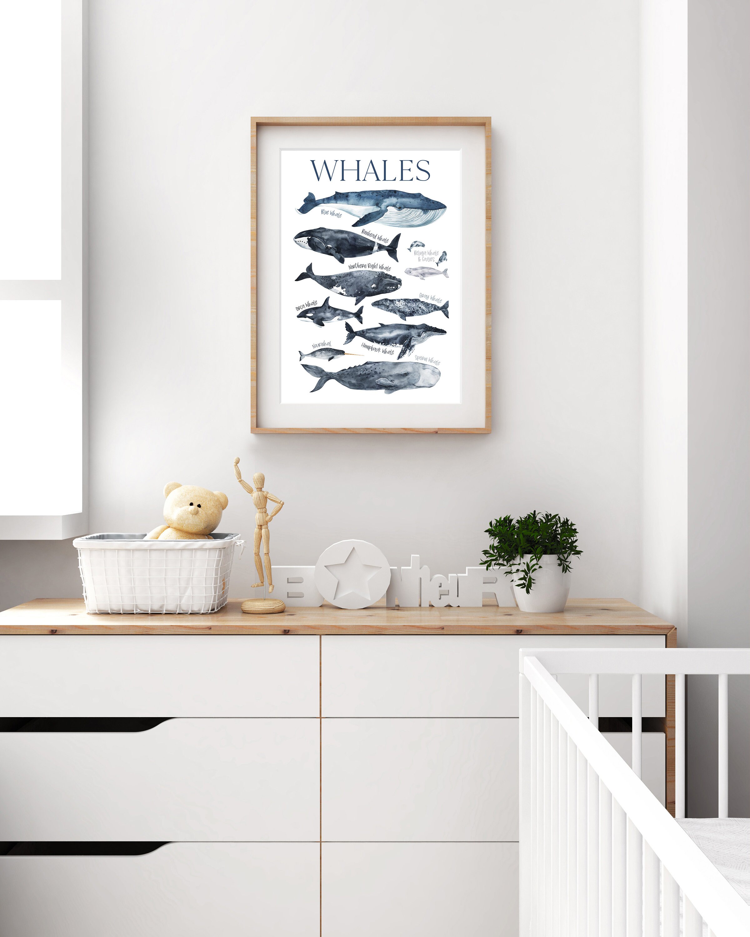 Whales Art Print Whale Types Poster Navy Grey Ocean Nursery | Etsy