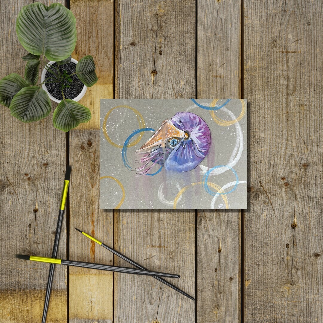 Nautilus Art, Ocean Painting, Ocean Life, Original Art, Gouache Art - Etsy