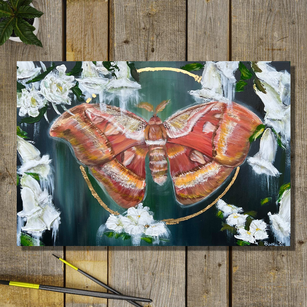Atlas Moth Print Moth Art Moth Lover Cottagecore Print - Etsy