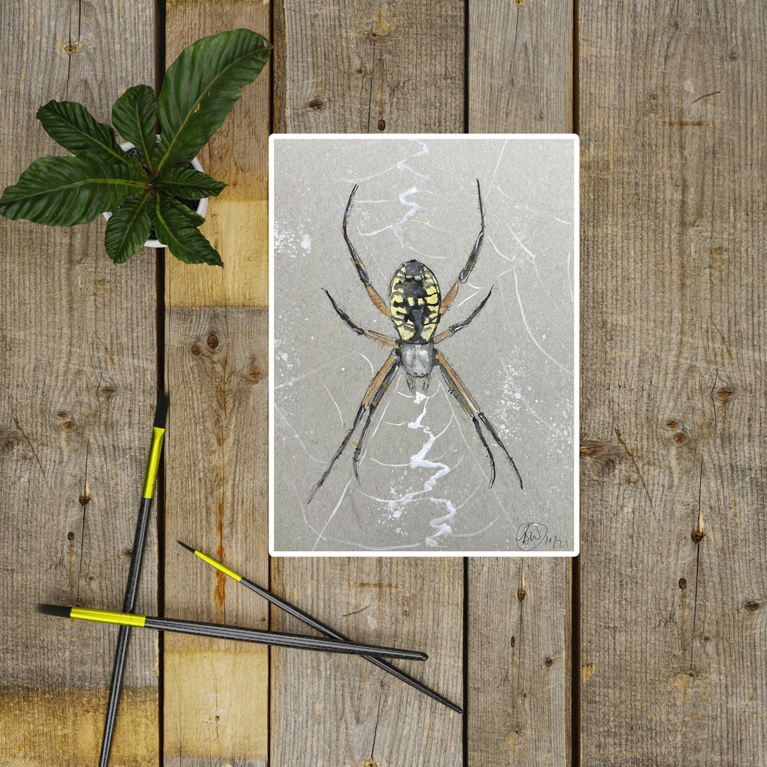 Spider Print, Spider Lover Gift, Bug Print, Art Print, Gouache Art - Etsy