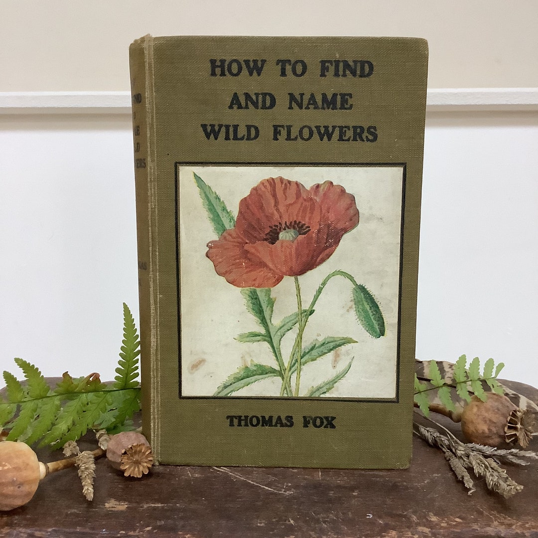 Vintage how to Find and Name Wild Flowers Book - Etsy
