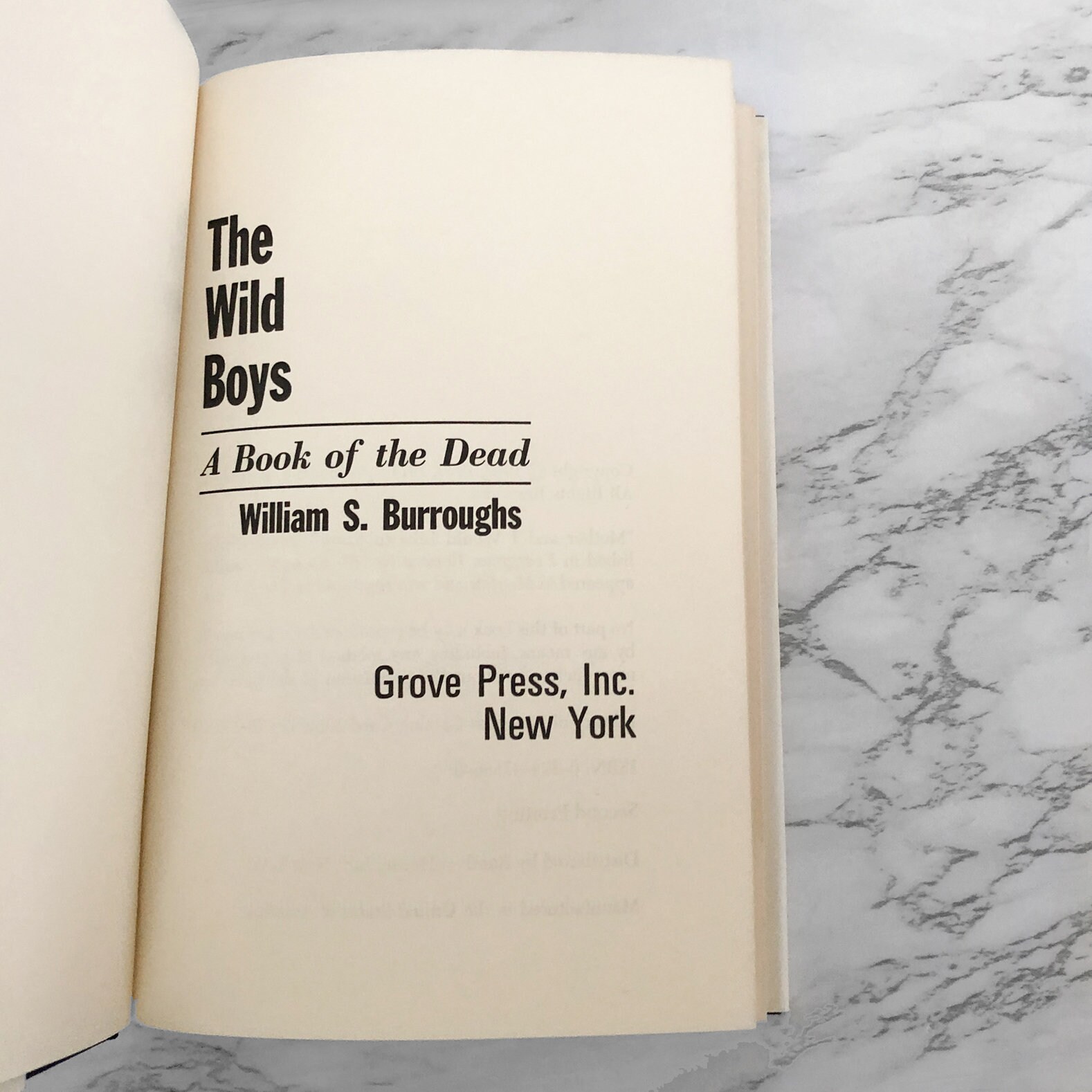 The Wild Boys by William S Burroughs [FIRST EDITION / 1971] 2nd ...