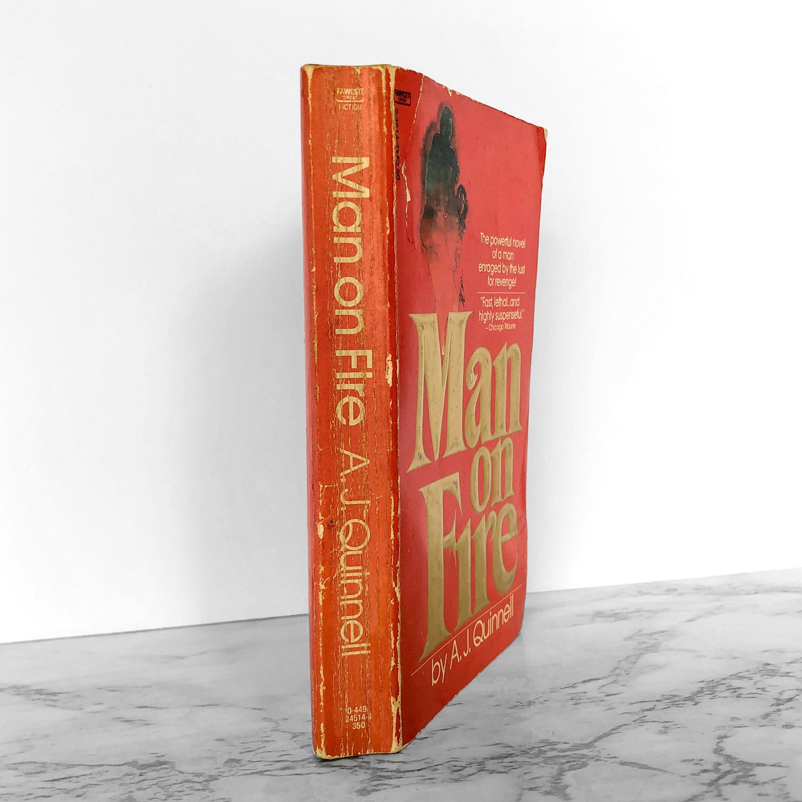 Catching Fire Original Book Cover