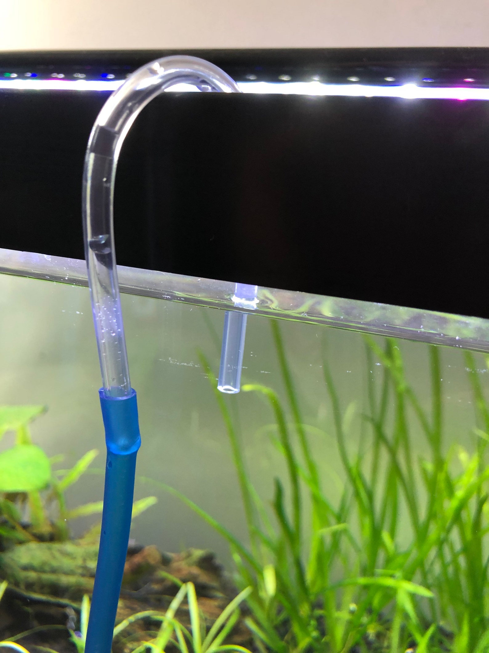 Deluxe Aquarium Drip Acclimation Kit for Freshwater or Saltwater, Fish ...