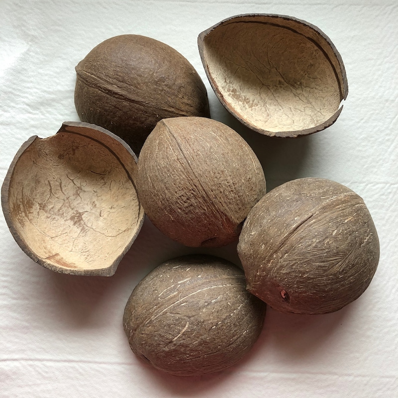 Coconut Shell - Etsy