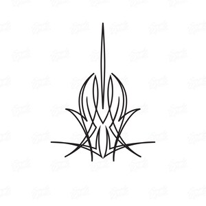 Classic Hot Rod Pinstripe Vinyl Decal - Authentic Look for Your Ride ...