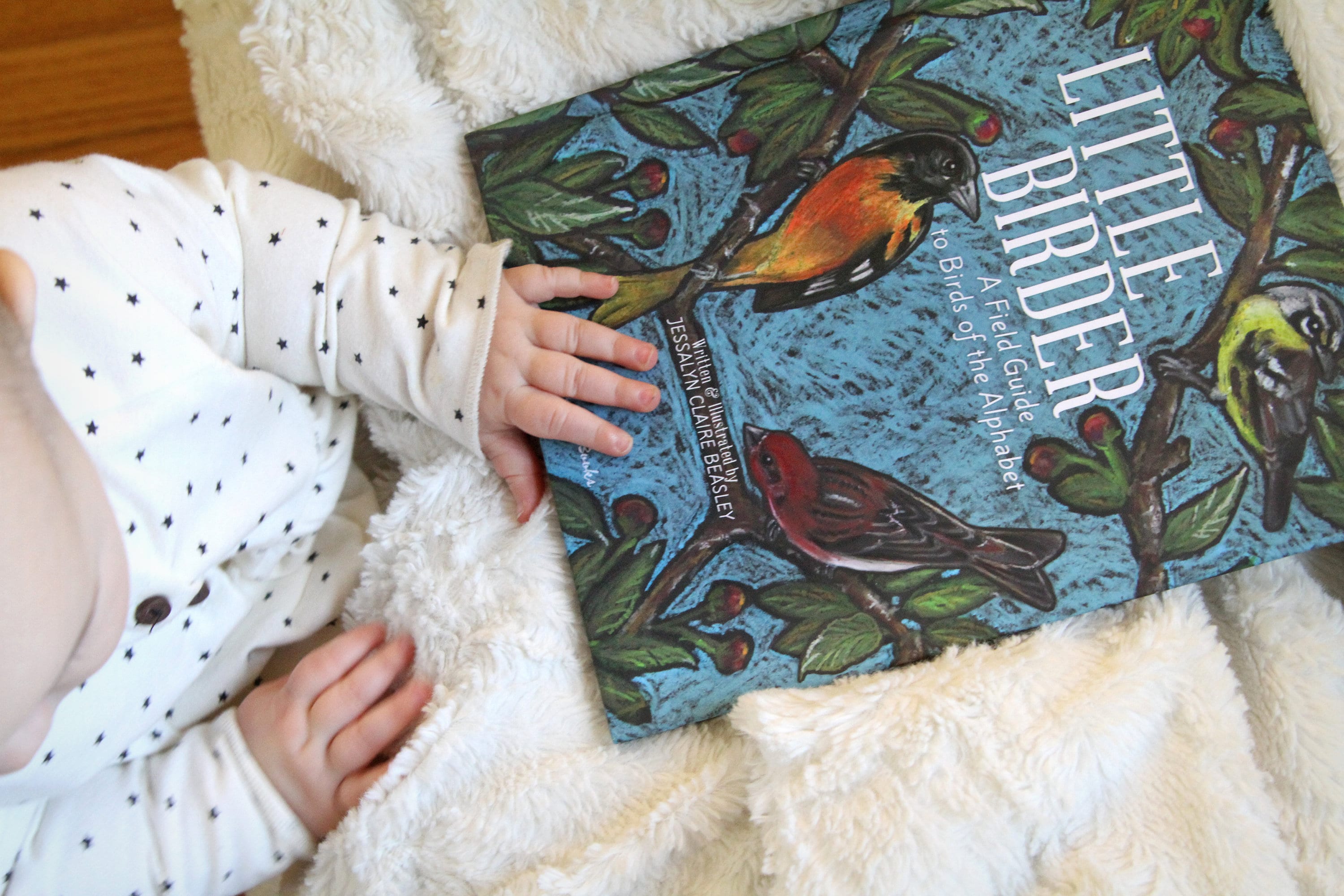 CHILDREN'S BOOK- Little Birder: A Field Guide to Birds of the Alphabet ...