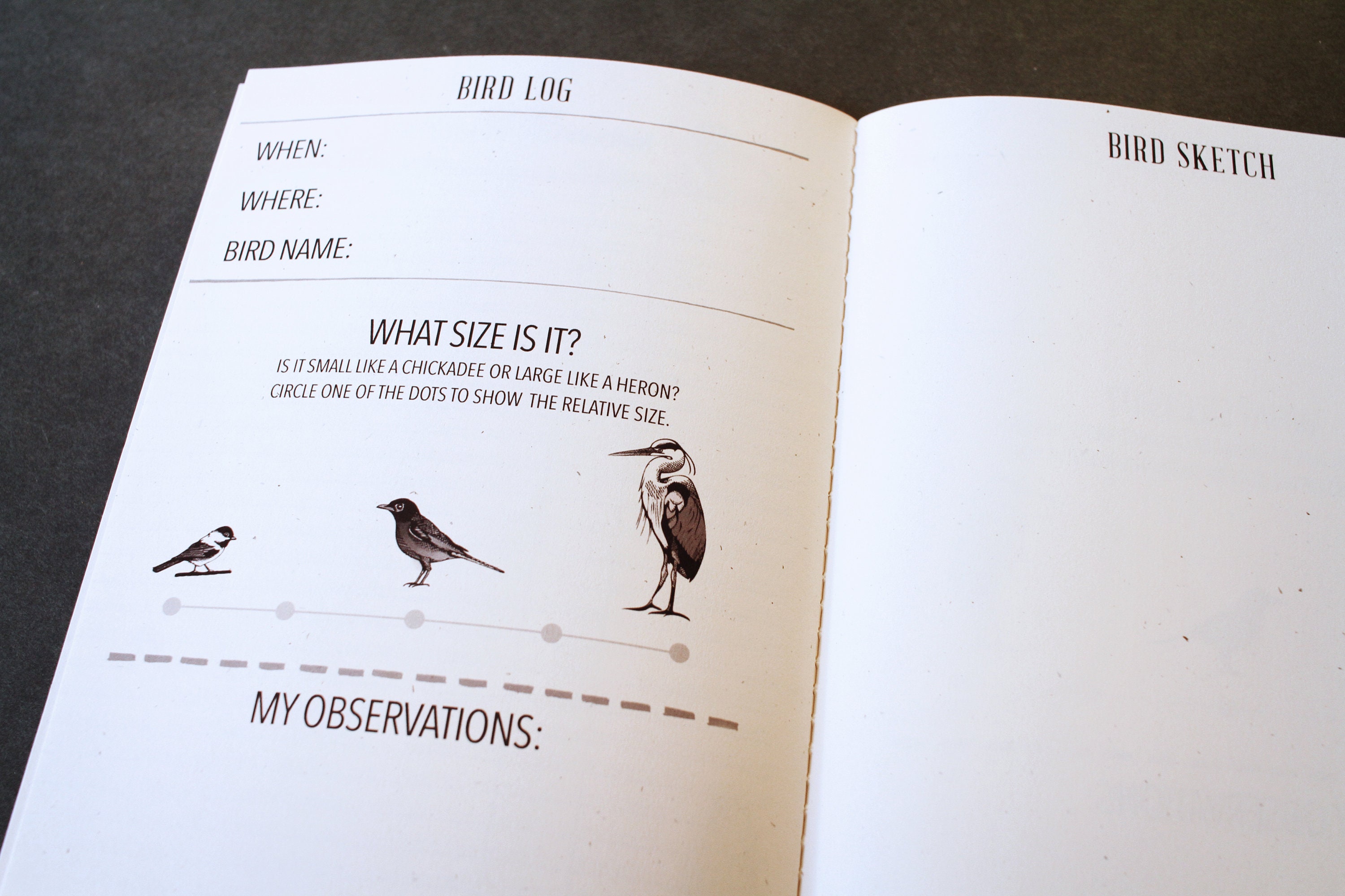 Birdwatching Journal Kids Birdwatching Journal Little Birder Book ...