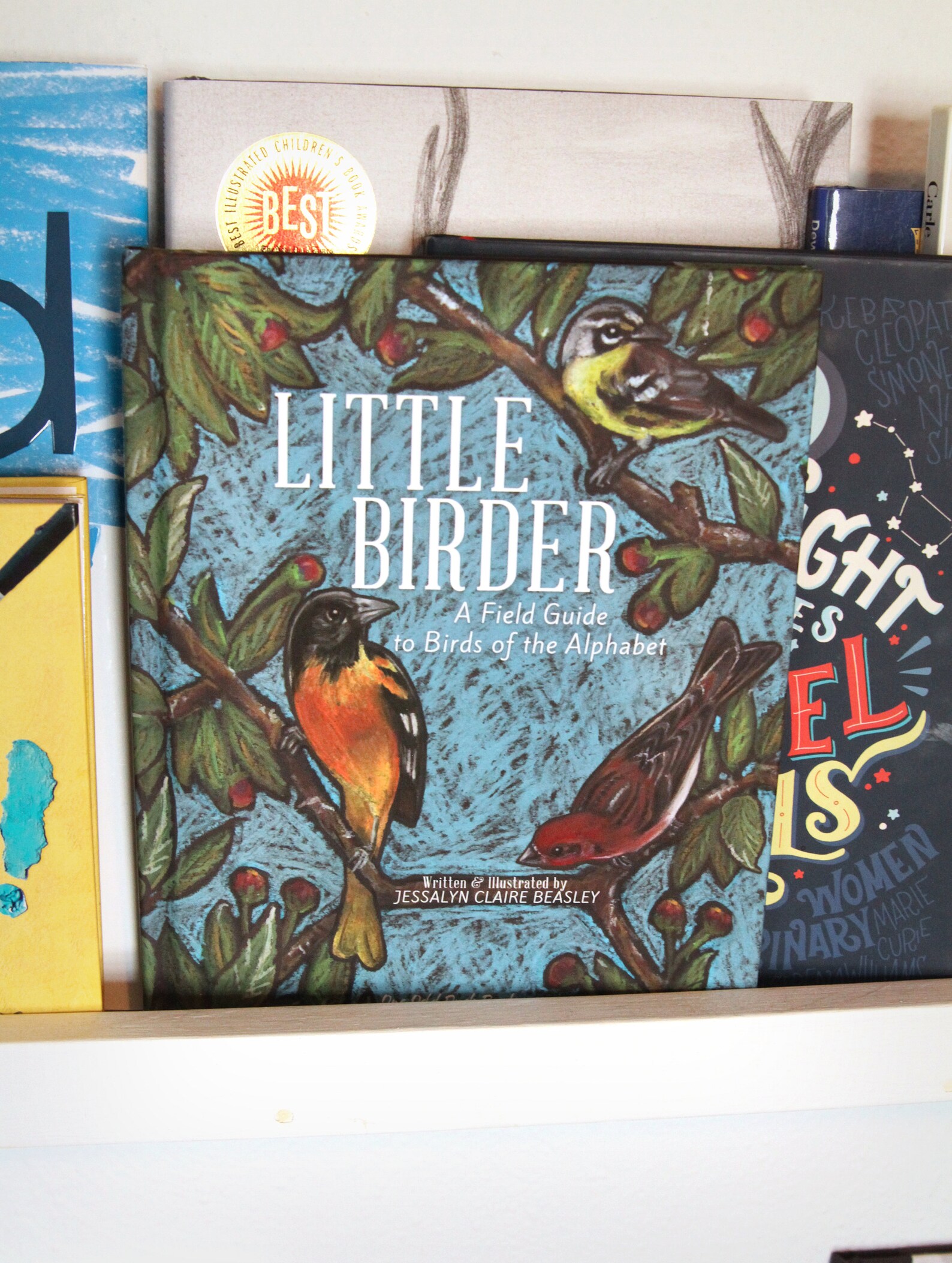 CHILDREN'S BOOK- Little Birder: A Field Guide to Birds of the Alphabet ...